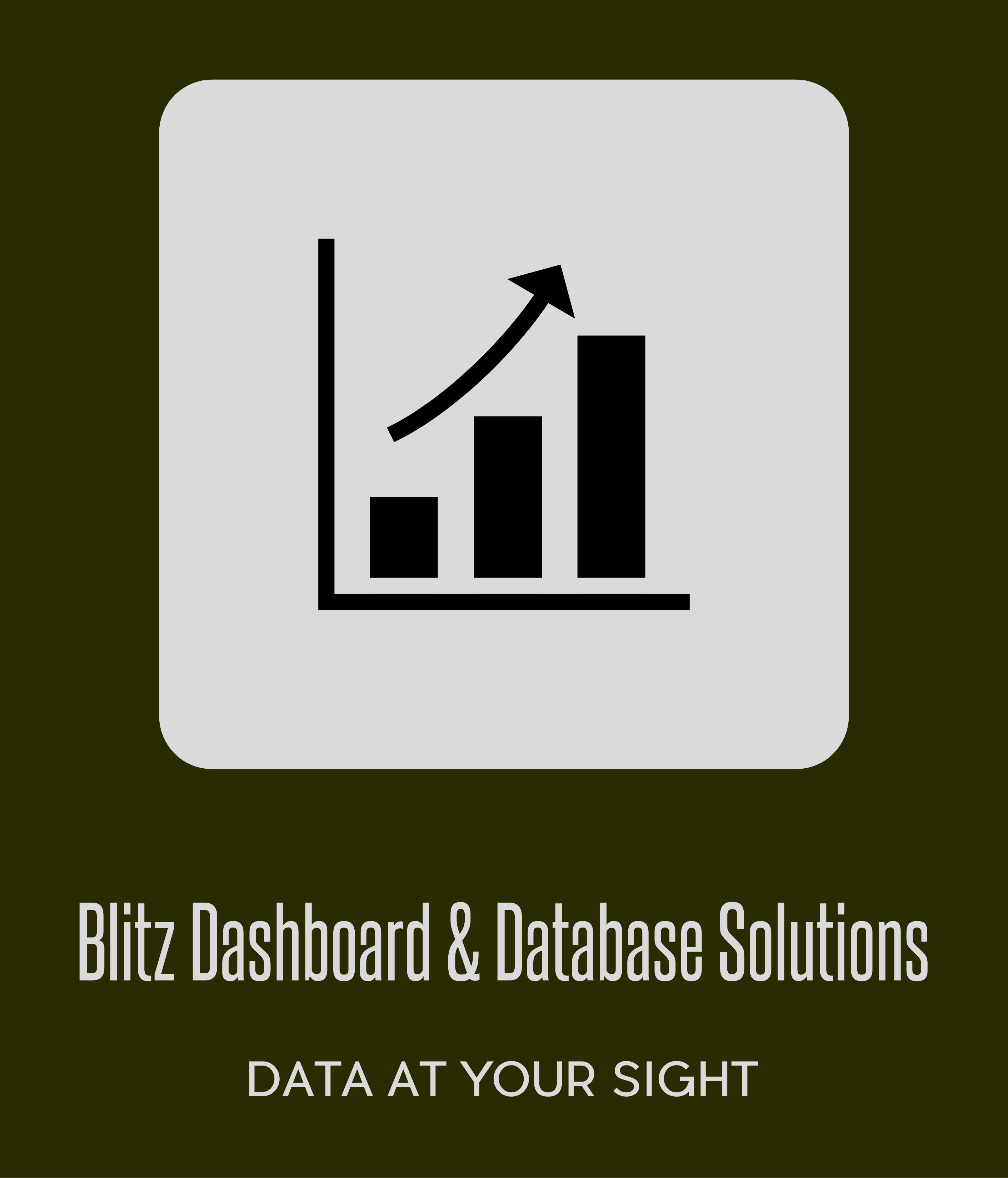 Blitz DDS – Business Intelligence Dashboards and Databases Automation, Training, and Advisory
