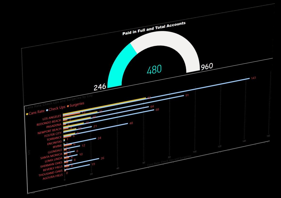 Blitz DDS – Business Intelligence Dashboards and Databases Automation, Training, and Advisory